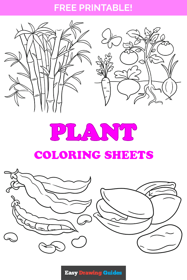 Trang tô màu thực vật miễn phí cho trẻ em - 19 tờ có thể in - Tô Màu