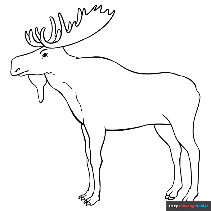 Trang tô màu con nai miễn phí cho trẻ em - 10 tờ có thể in được - Tô Màu