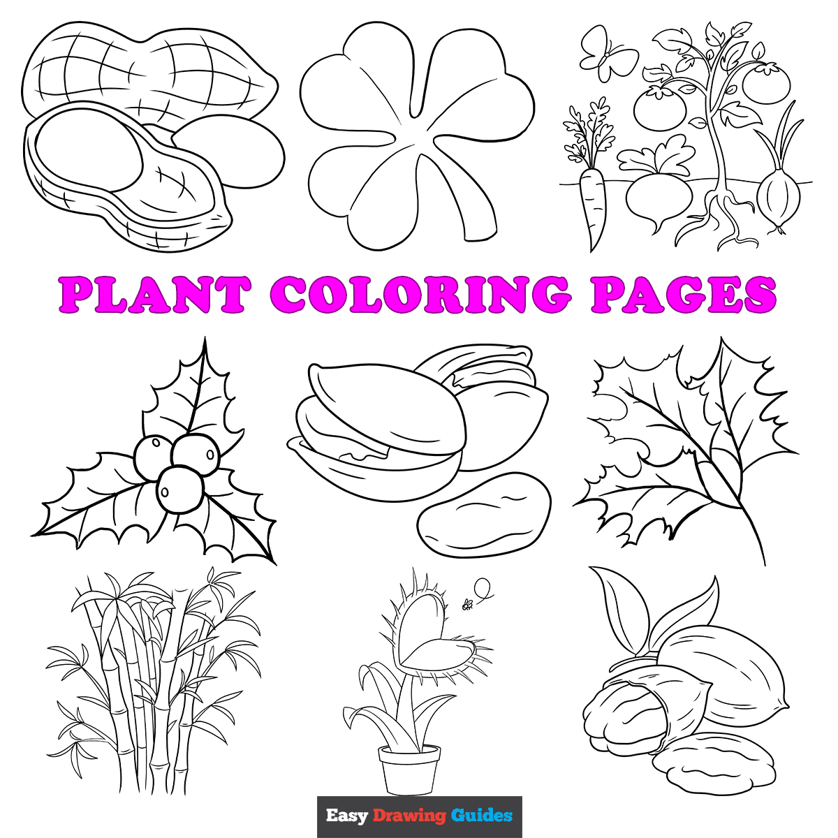 Trang tô màu thực vật miễn phí cho trẻ em - 19 tờ có thể in - Tô Màu